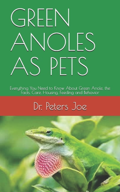 Green Anoles as Pets: Everything You Need to Know About Green Anole ...