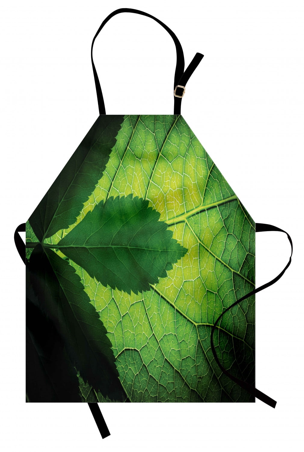 Green Apron Nature Forest Big Amazon Brazilian Tree Leaf with Vein and ...