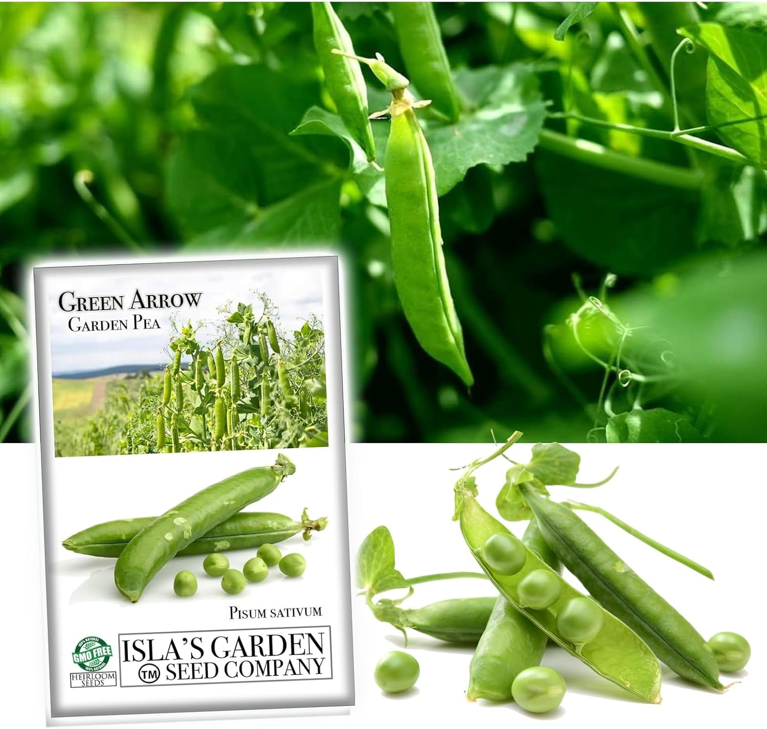 Green Arrow Garden Pea Seeds for Planting, 50+ Heirloom Seeds Per Packet, Non GMO Seeds ...