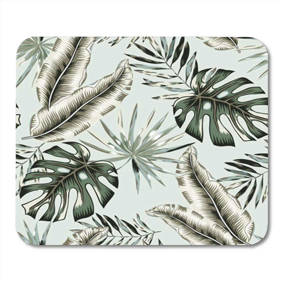 Green Banana Monstera Palm Leaves Tropical Jungle Foliage Exotic Plants ...