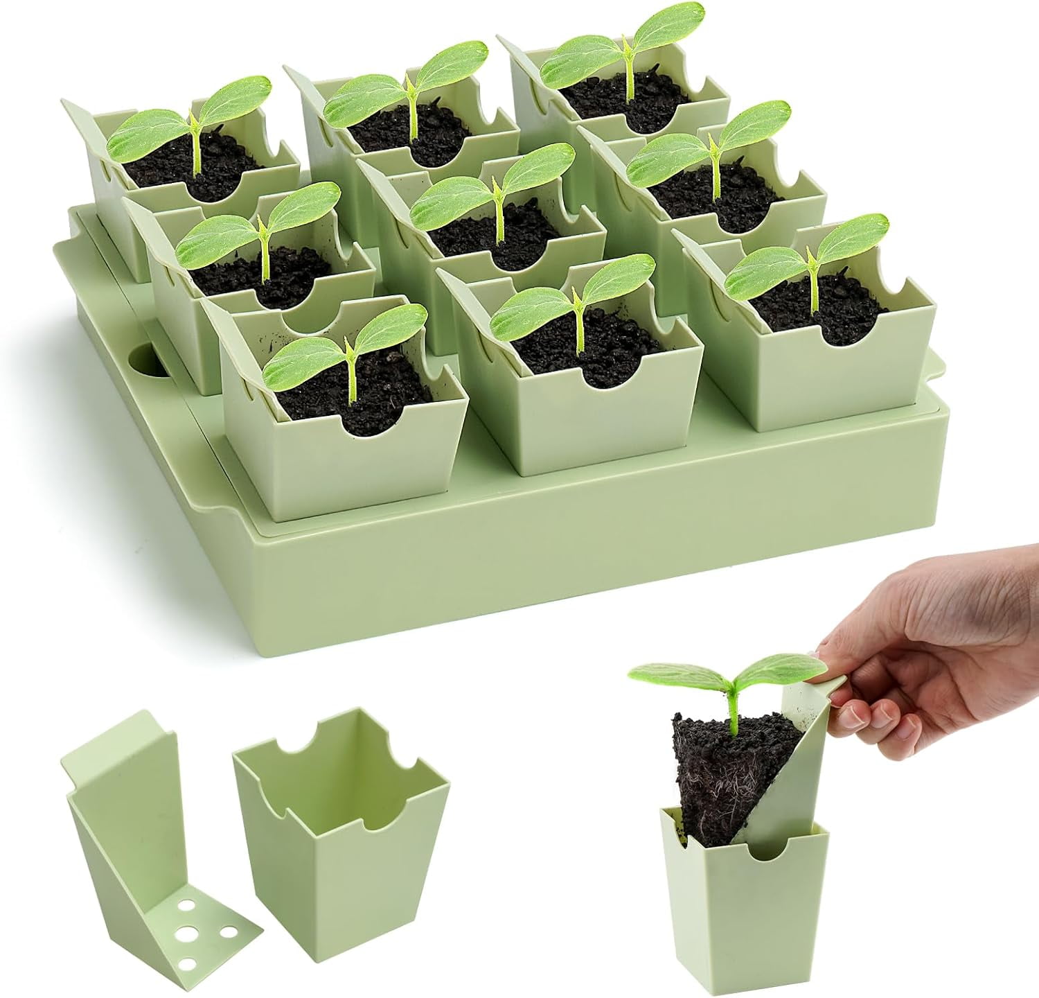 Green Bazzar Seed Starter Tray with Handle, 9 Individual Cells ...
