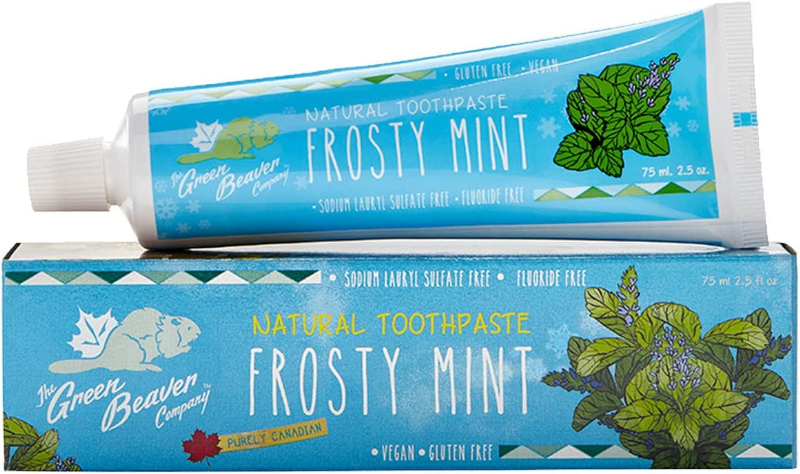 Green Beaver Toothpaste Frosty Mint, 2.5 Oz, 2 Pack - Walmart.com