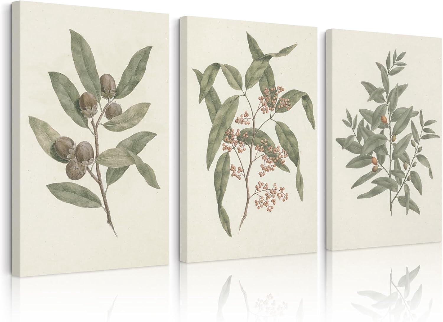 Green Botanical Wall Art Sage Plant Canvas Pictures Eucalyptus Wall ...