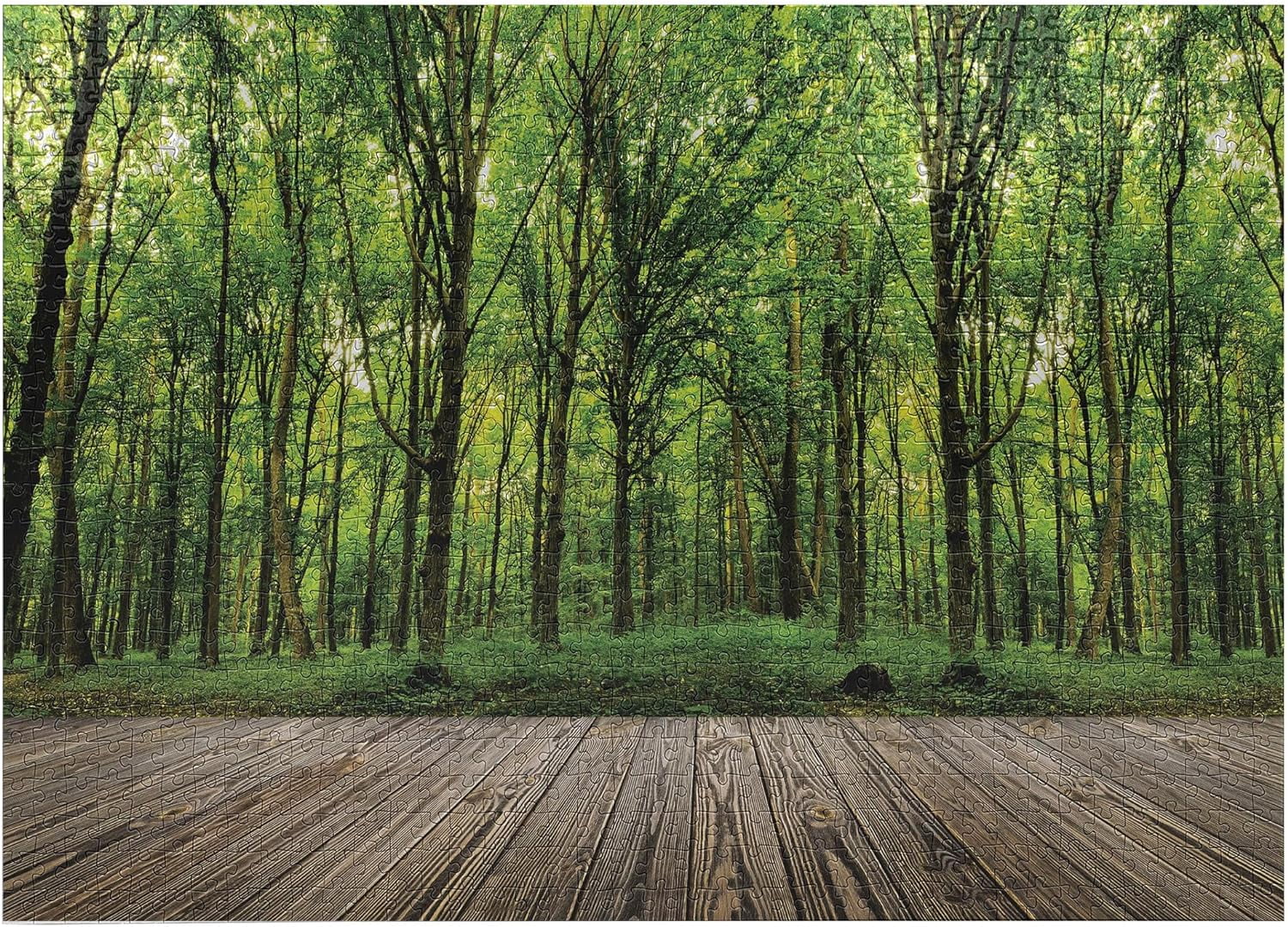 Green and Brown Horizontal Shot of Forest with High Trees and a Wooden ...
