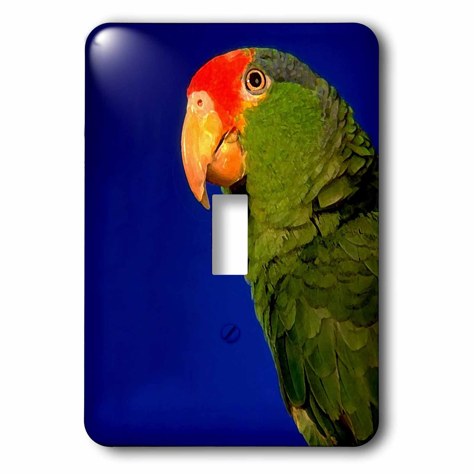 3dRose, Green Cheeked Amazon Parrot, single toggle switch - Walmart.com