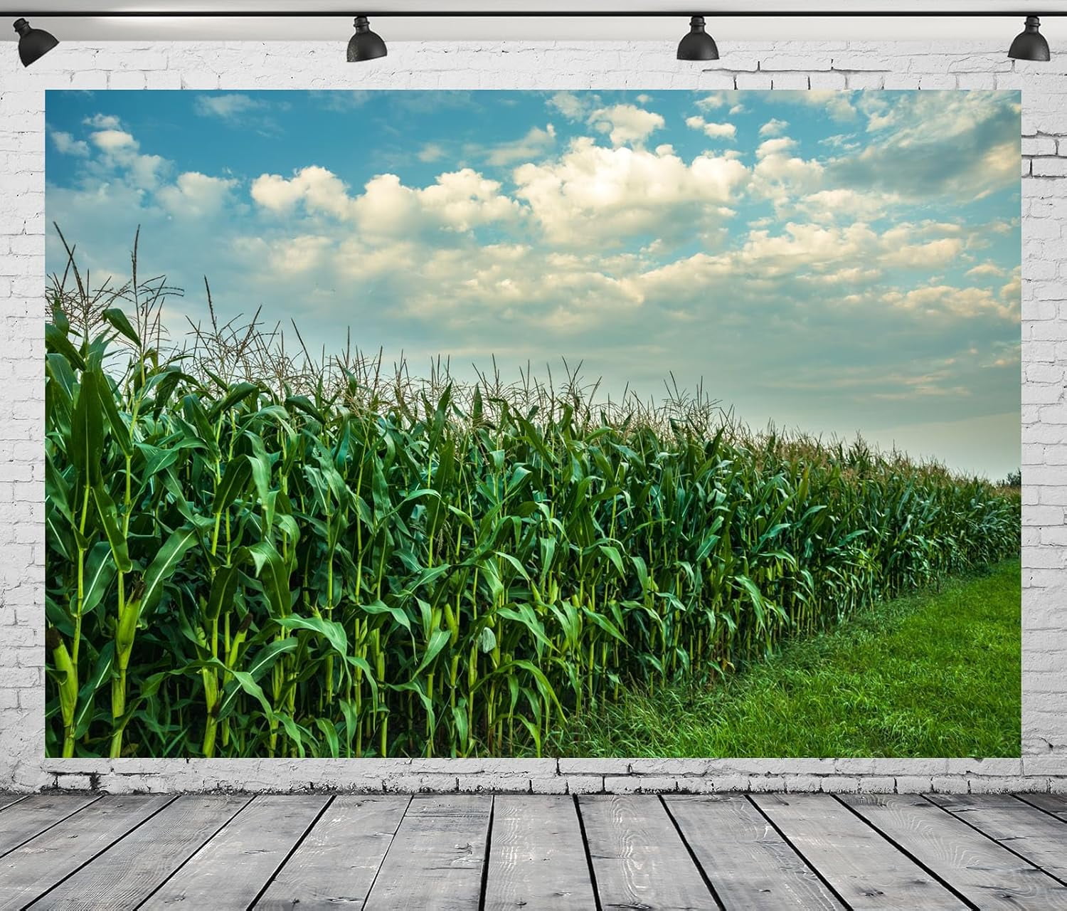 Green Cornfield Beautiful Scenery Backdrop for Photography Rural Corn ...