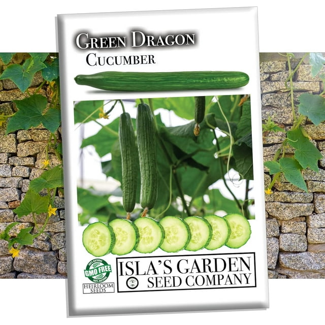 Green Dragon Cucumber Seeds for Planting, 50+ Heirloom Seeds Per Packet ...