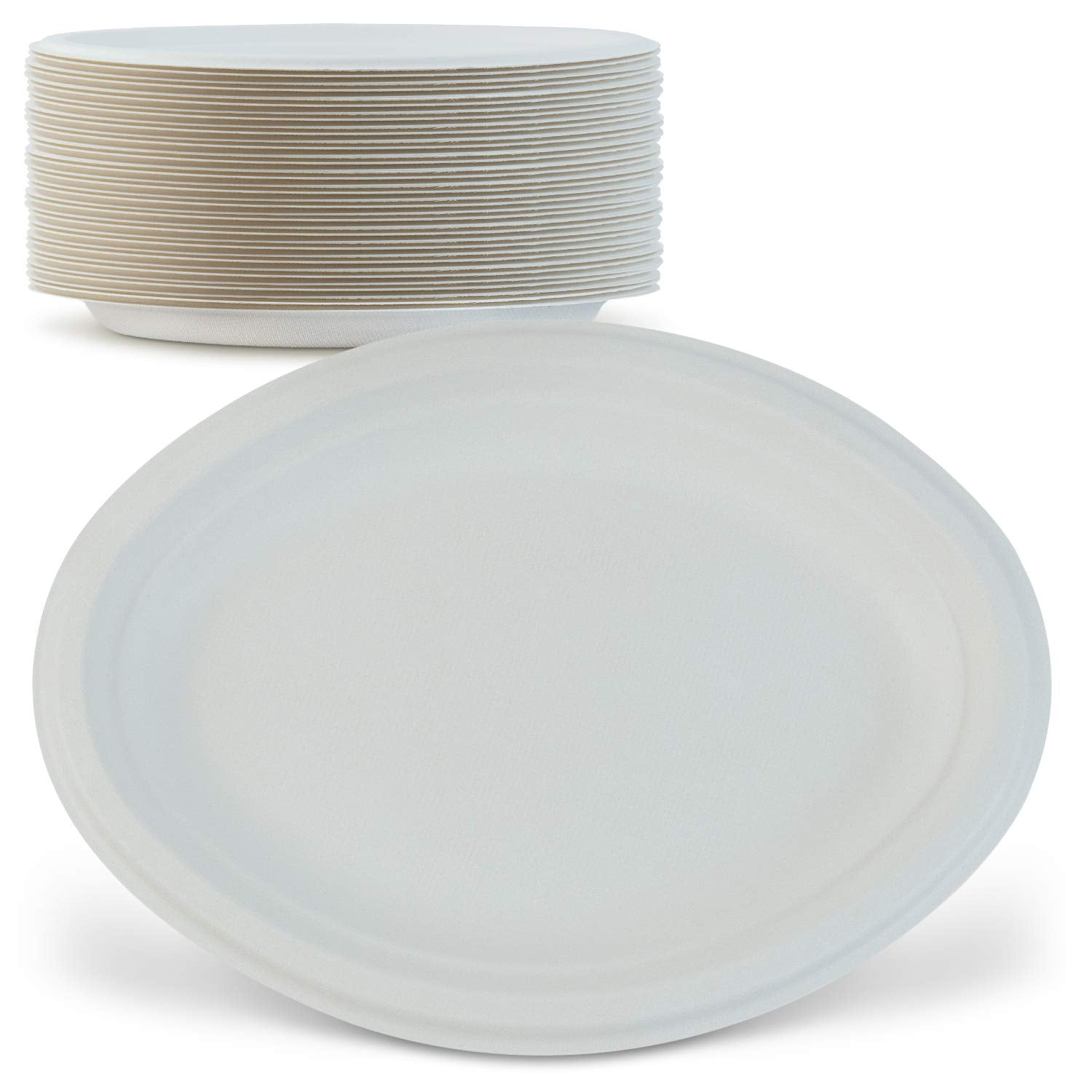 Green Earth, 10-Inch, 125-Count, Compostable Plates, AFN1Natural ...