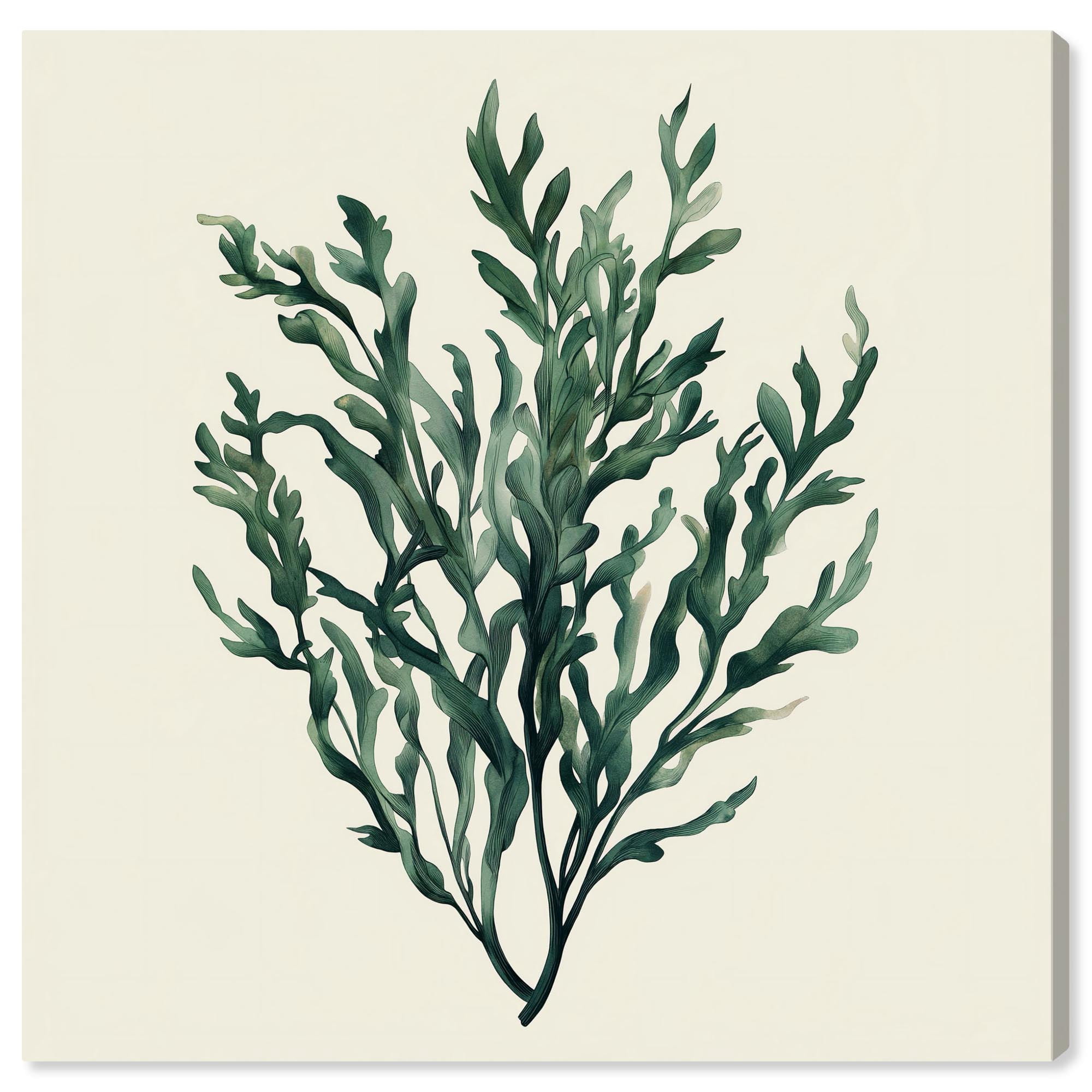 Green Elegance Beneath I Canvas Vintage Botanic Art by Art Remedy ...