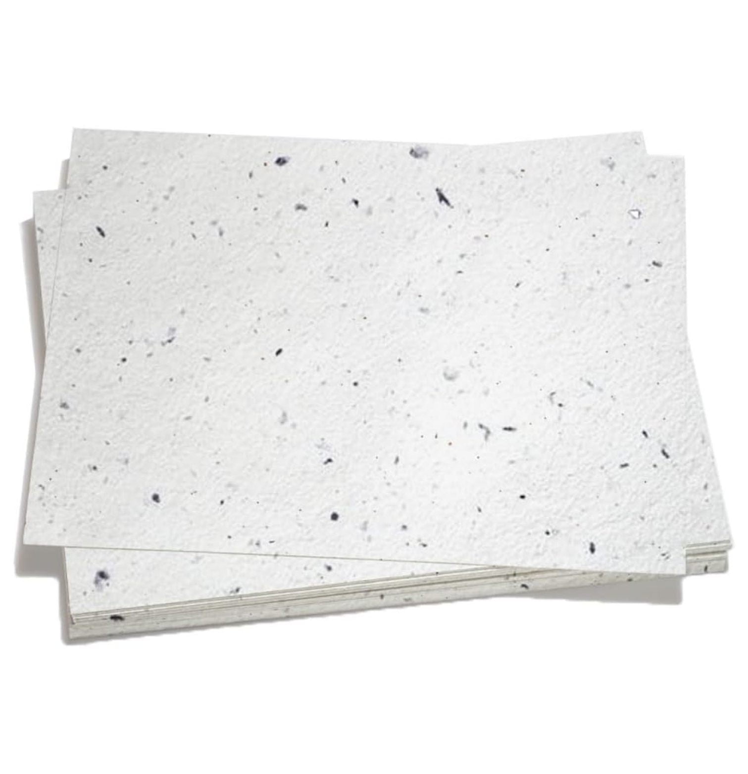 Green Field Blank Craft Seed Paper – Wildflower Tree Sustainable ...