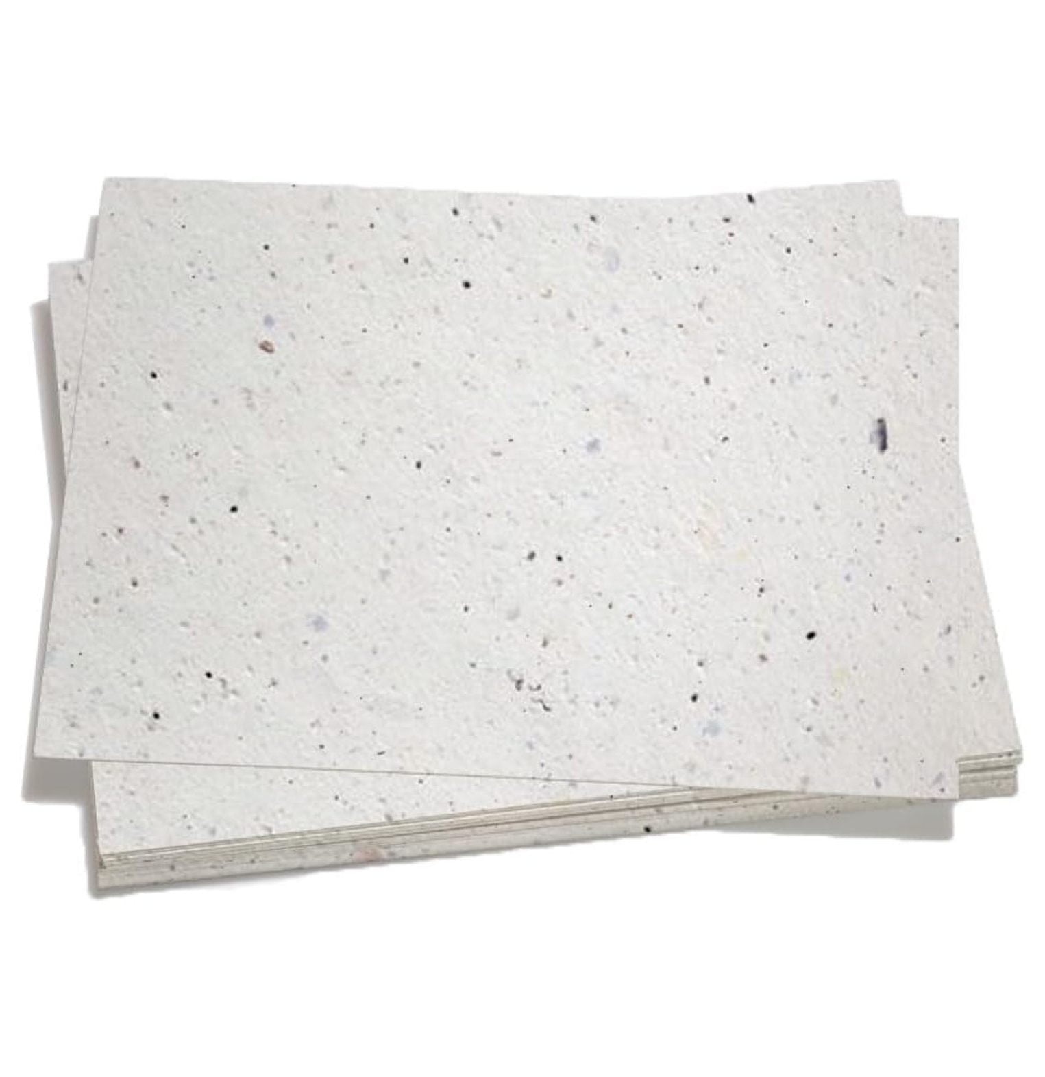 Green Field Craft Seed Paper - (10 Pieces) Wildflower Tree Sustainable ...
