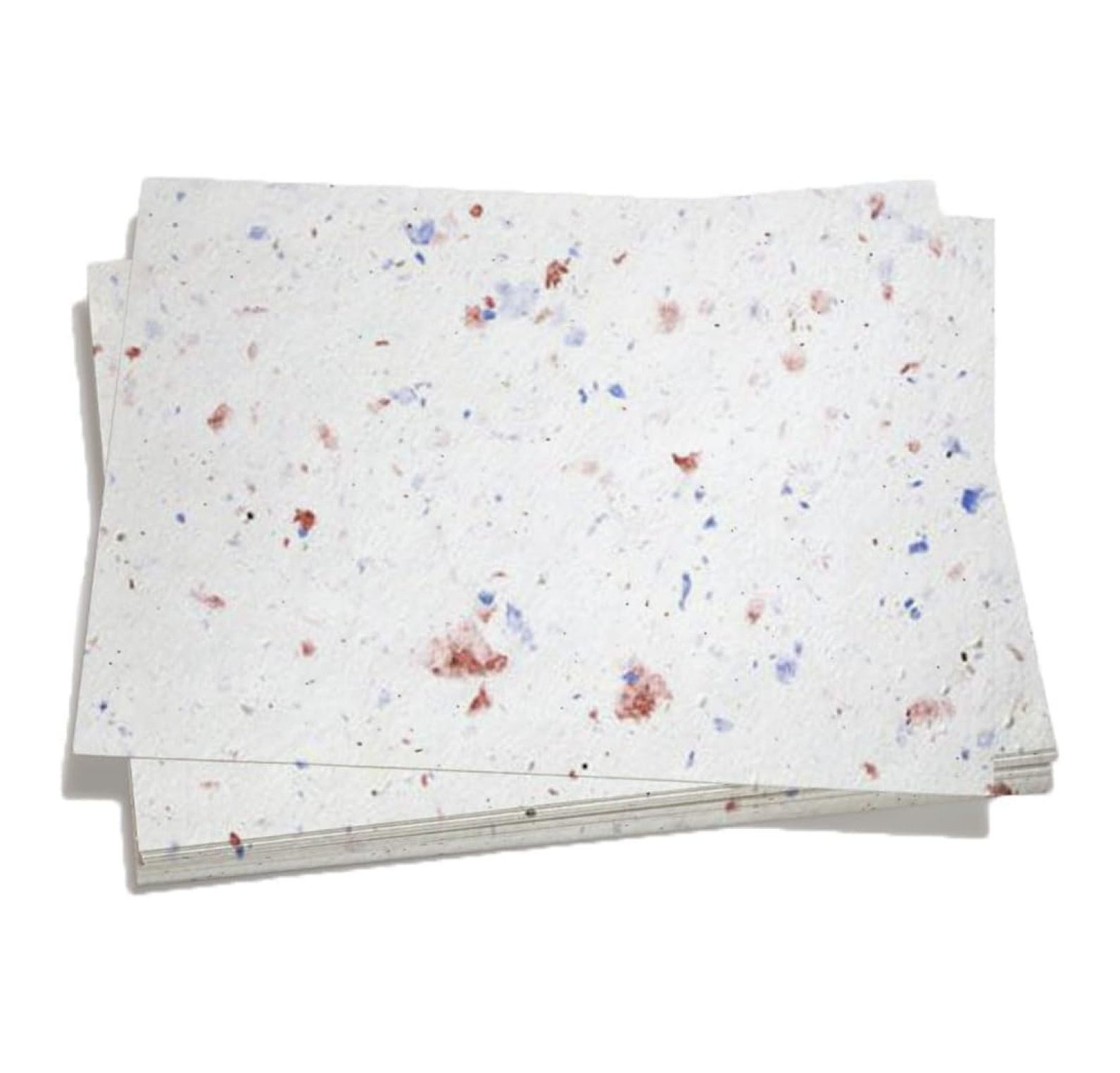 Green Field Craft Seed Paper - (10 Pieces) Wildflower Tree Sustainable ...