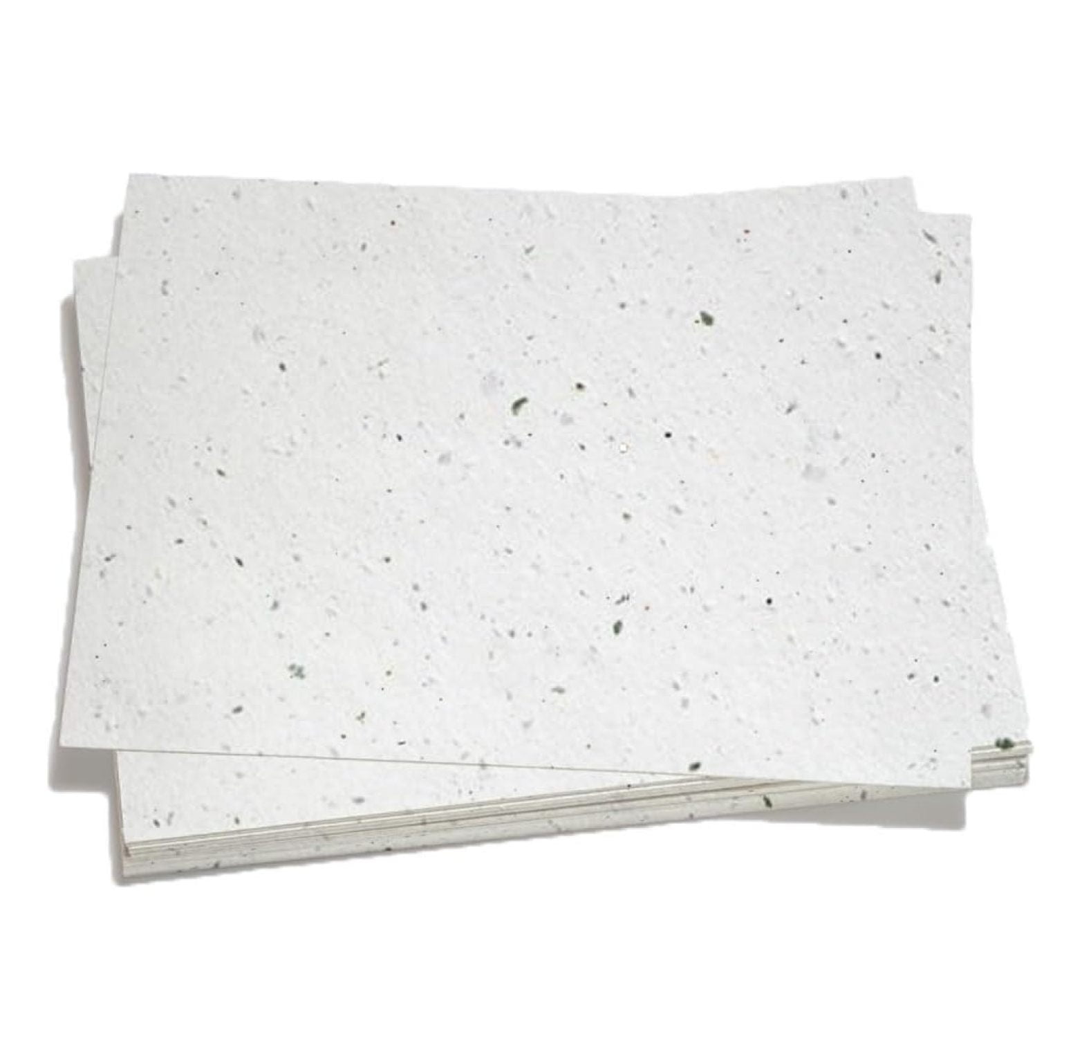 Green Field Craft Seed Paper - (10 Pieces) Wildflower Tree Sustainable ...