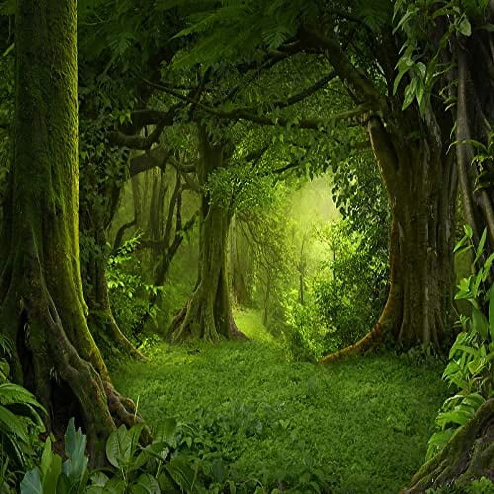 Green Forest Landscape Wall Photo Wallpaper, Stereoscopic Space Custom ...