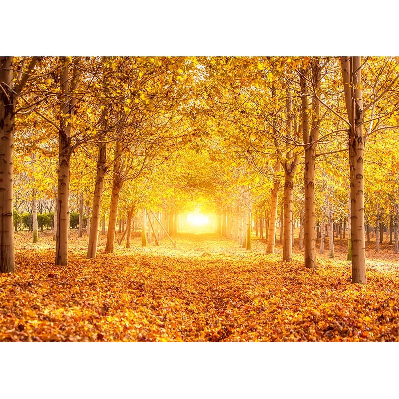 Green Forest Nature Scenery Photography Background Landscape Portrait ...