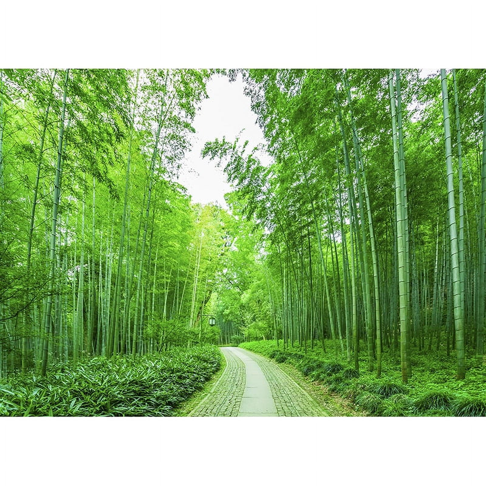 Green Forest Nature Scenery Photography Background Landscape Portrait ...