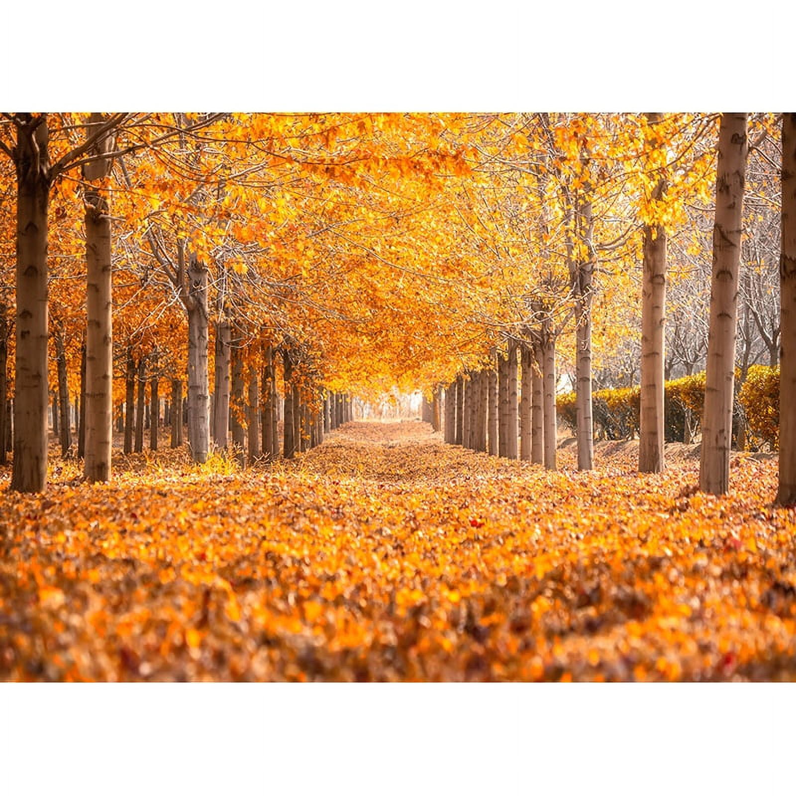 Green Forest Nature Scenery Photography Background Landscape Portrait ...