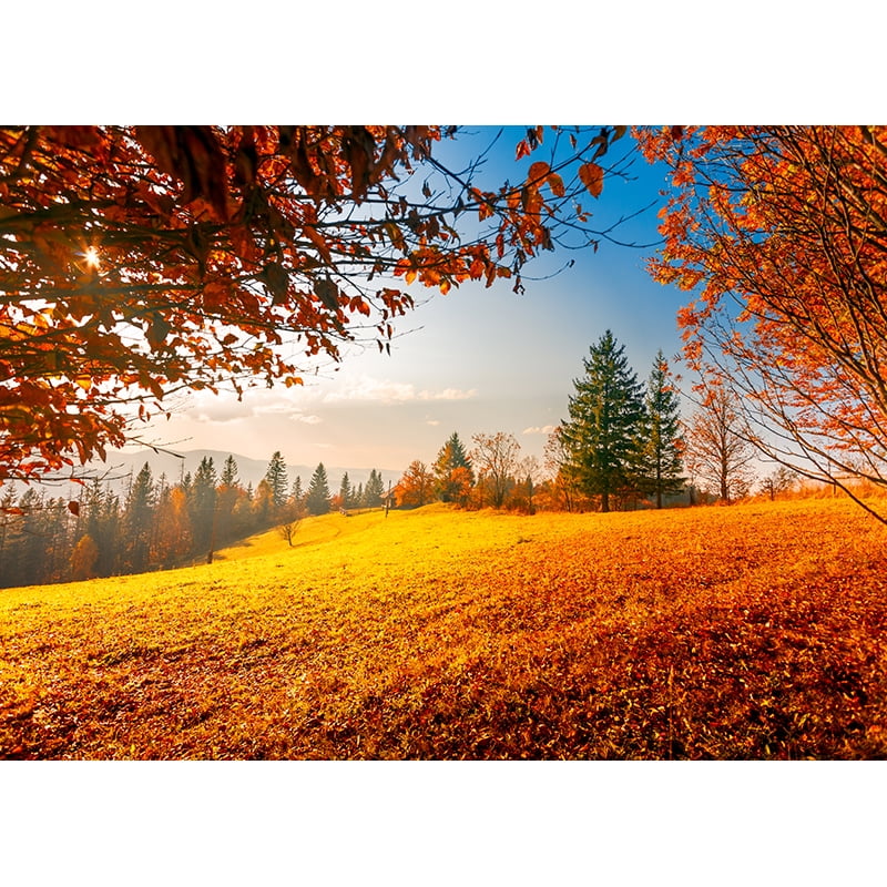 Green Forest Nature Scenery Photography Background Landscape Portrait ...