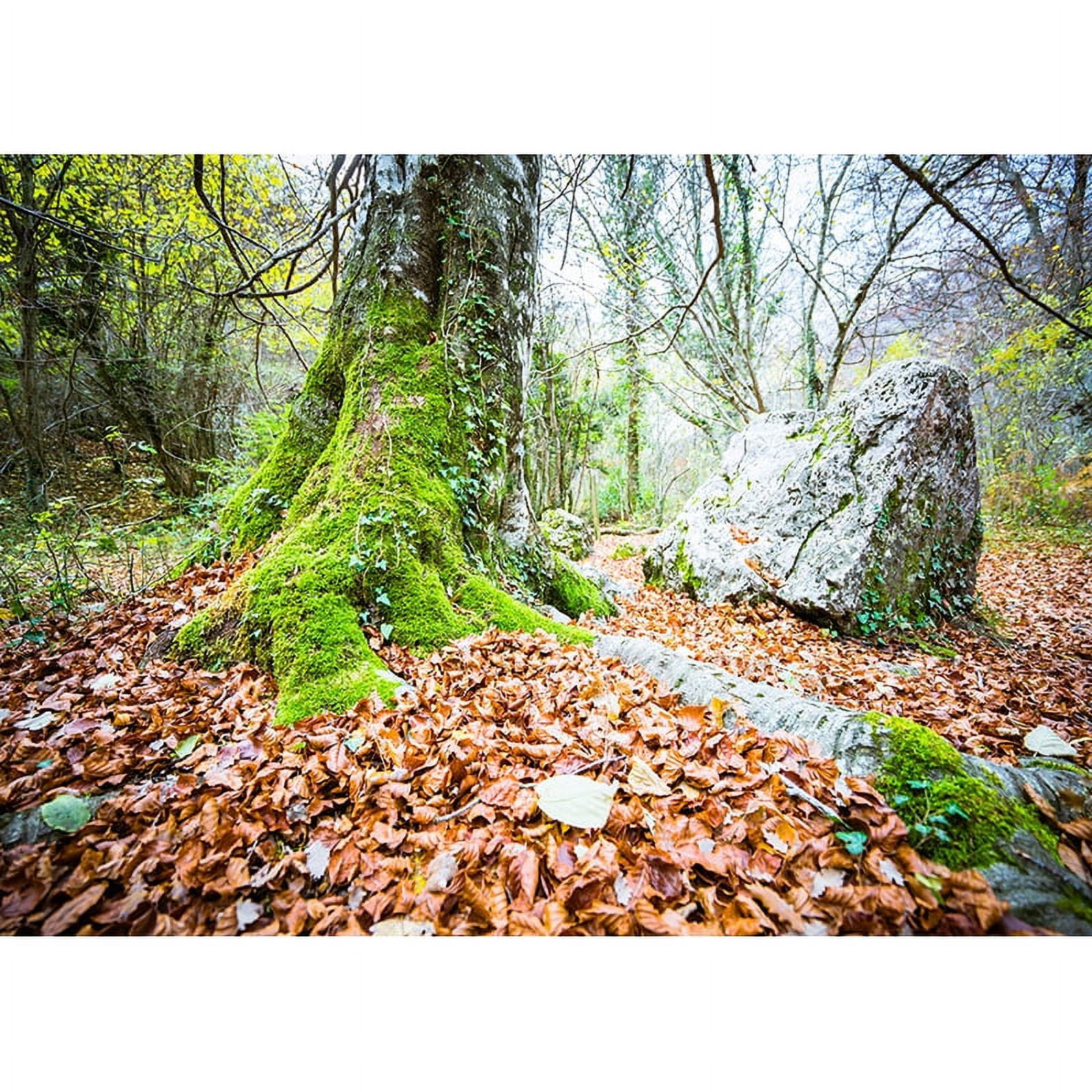 Green Forest Nature Scenery Photography Background Landscape Portrait ...