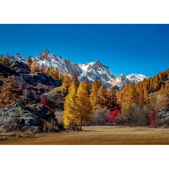Green Forest Nature Scenery Photography Background Landscape Portrait ...