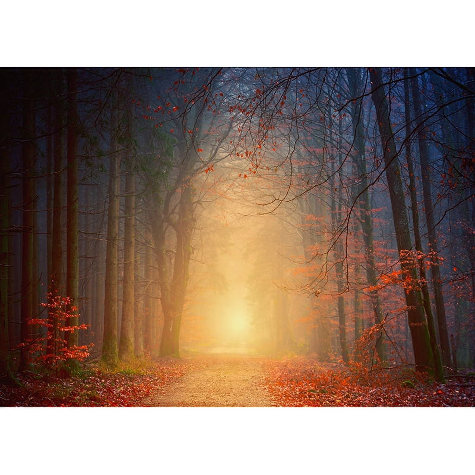 Green Forest Nature Scenery Photography Background Landscape Portrait ...