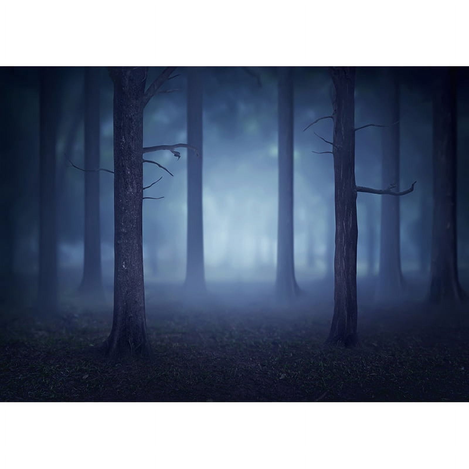 Green Forest Nature Scenery Photography Background Landscape Portrait ...