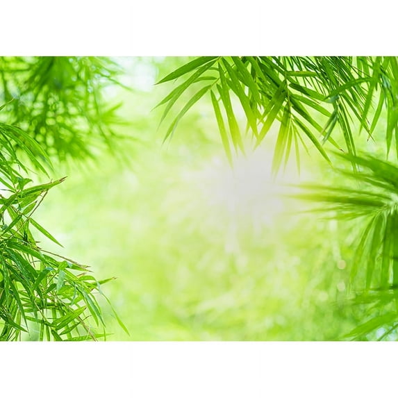 Green Forest Nature Scenery Photography Background Landscape Portrait ...