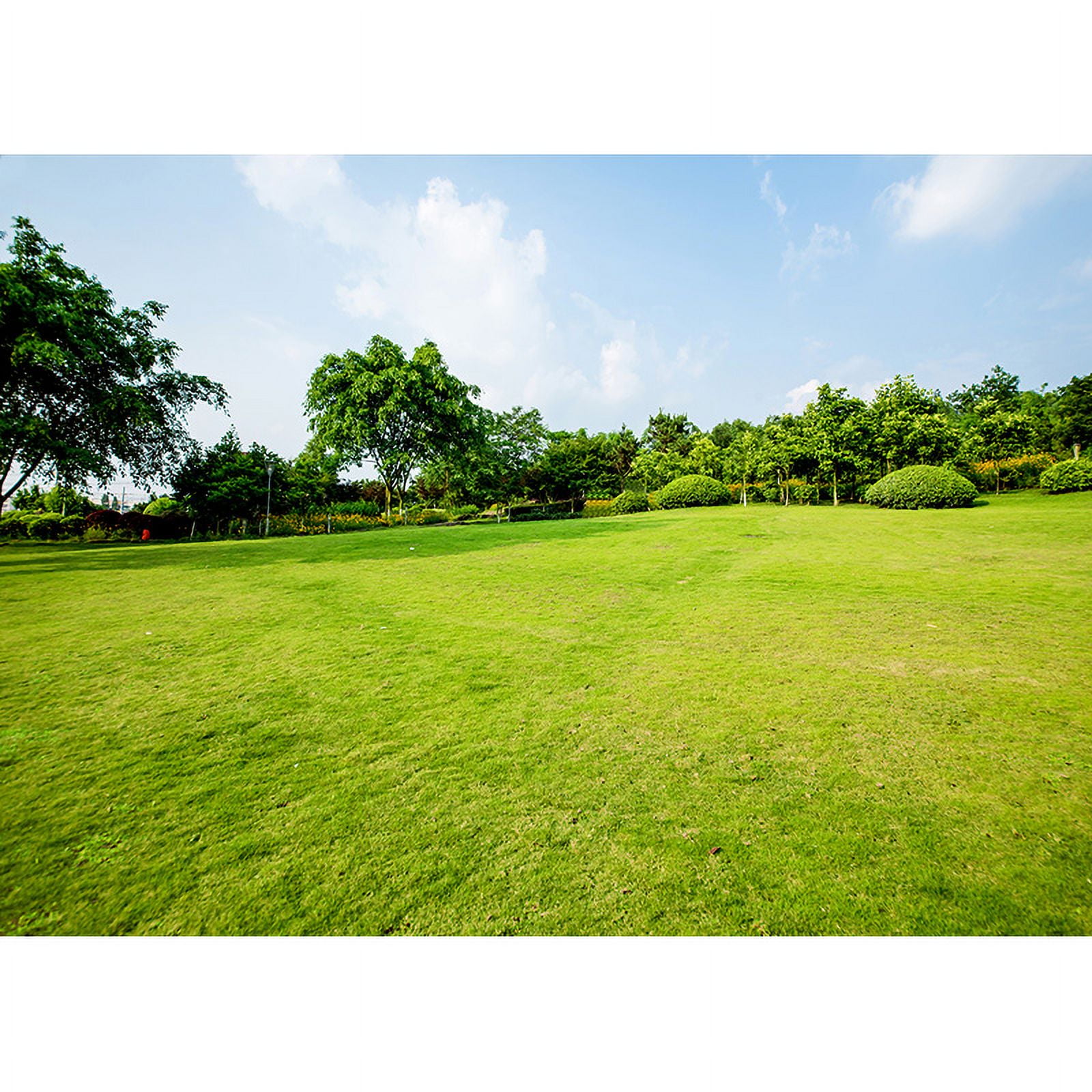 Green Forest Nature Scenery Photography Background Landscape Portrait ...