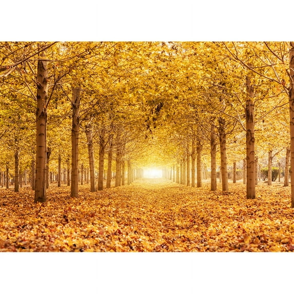 Green Forest Nature Scenery Photography Background Landscape Portrait ...