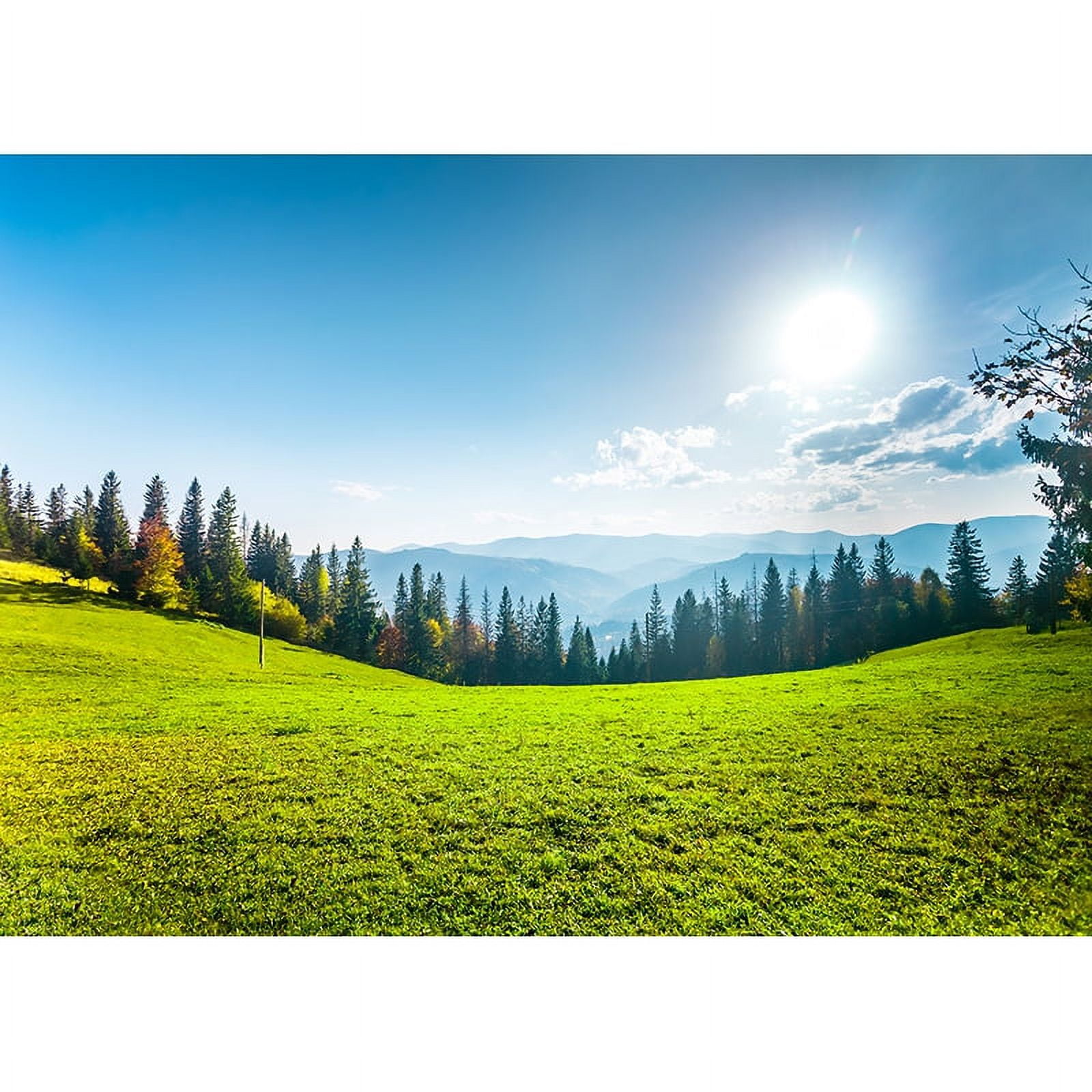 Green Forest Nature Scenery Photography Background Landscape Portrait ...