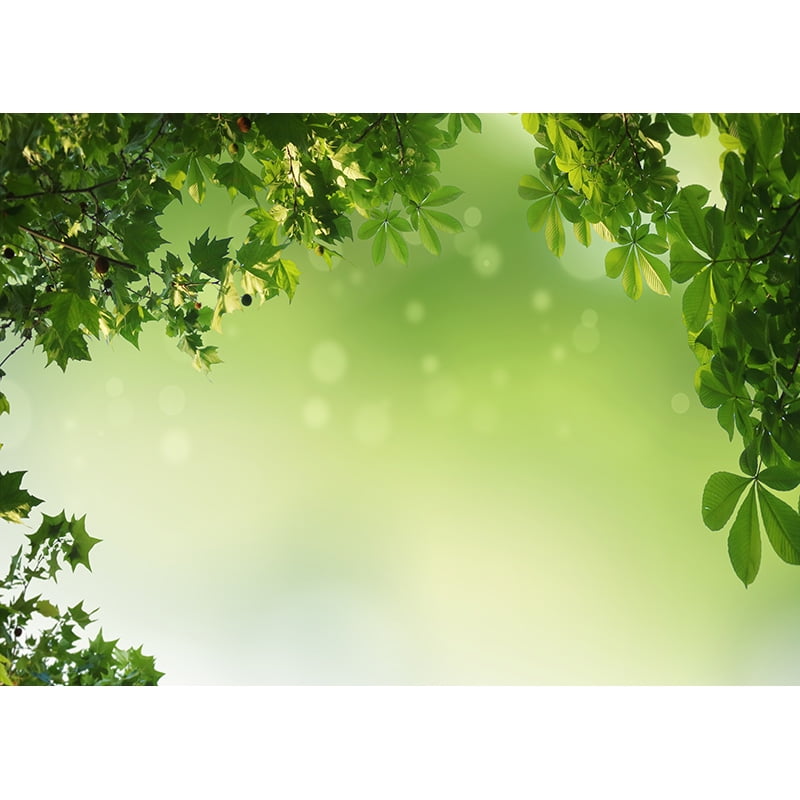 Green Forest Nature Scenery Photography Background Landscape Portrait ...