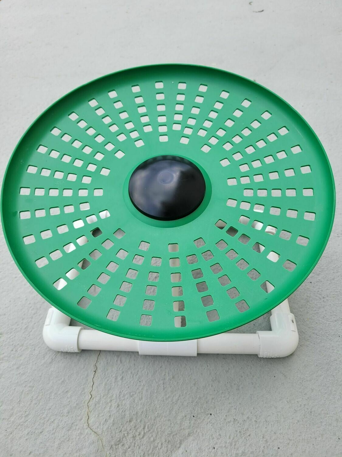 Green Freedom Disk with 3 inch adjustable stand. #1 Recommended by ...