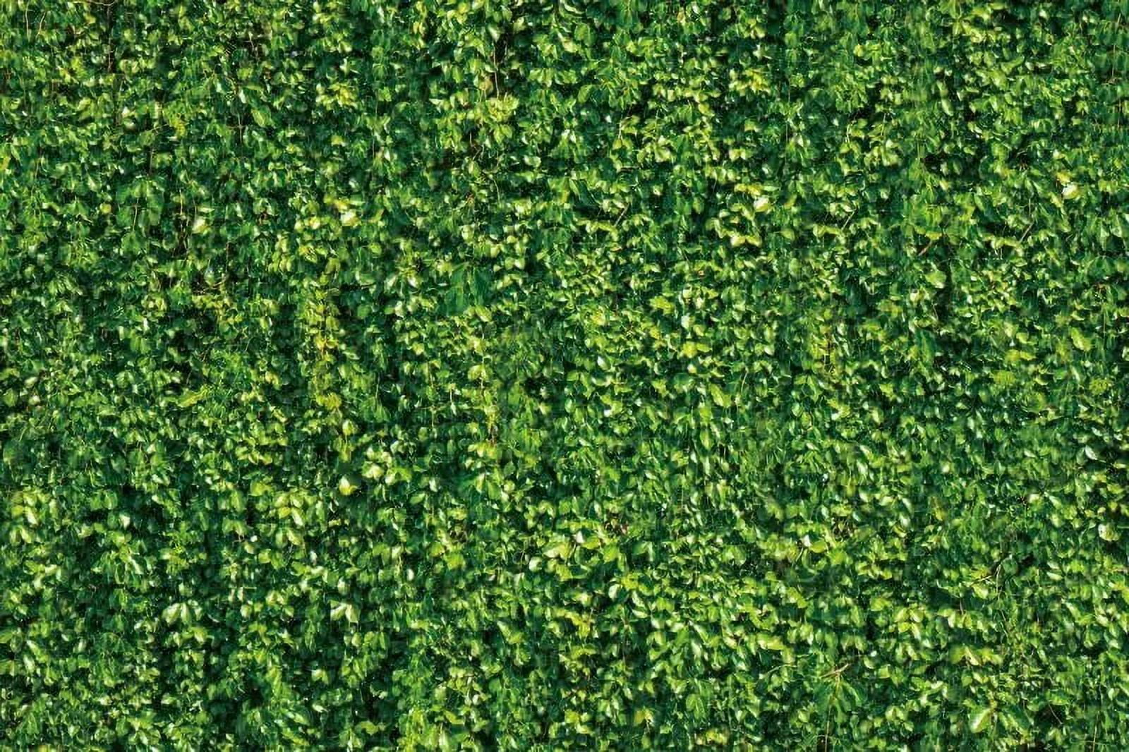 Green Glass Backdrop Countryside Park Plant Outdoor Scene Baby Children ...