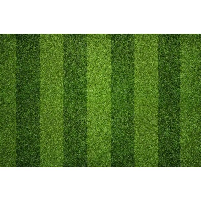 Green Glass Backdrop Countryside Park Plant Outdoor Scene Baby Children ...