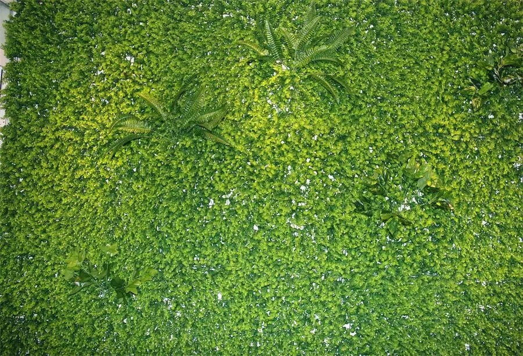 Green Glass Backdrop Countryside Park Plant Outdoor Scene Baby Children ...