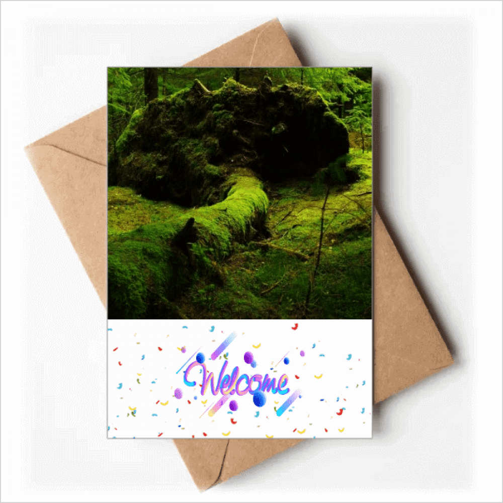 Green Grass Forestry Science Nature Scenery Welcome Back Greeting Cards ...