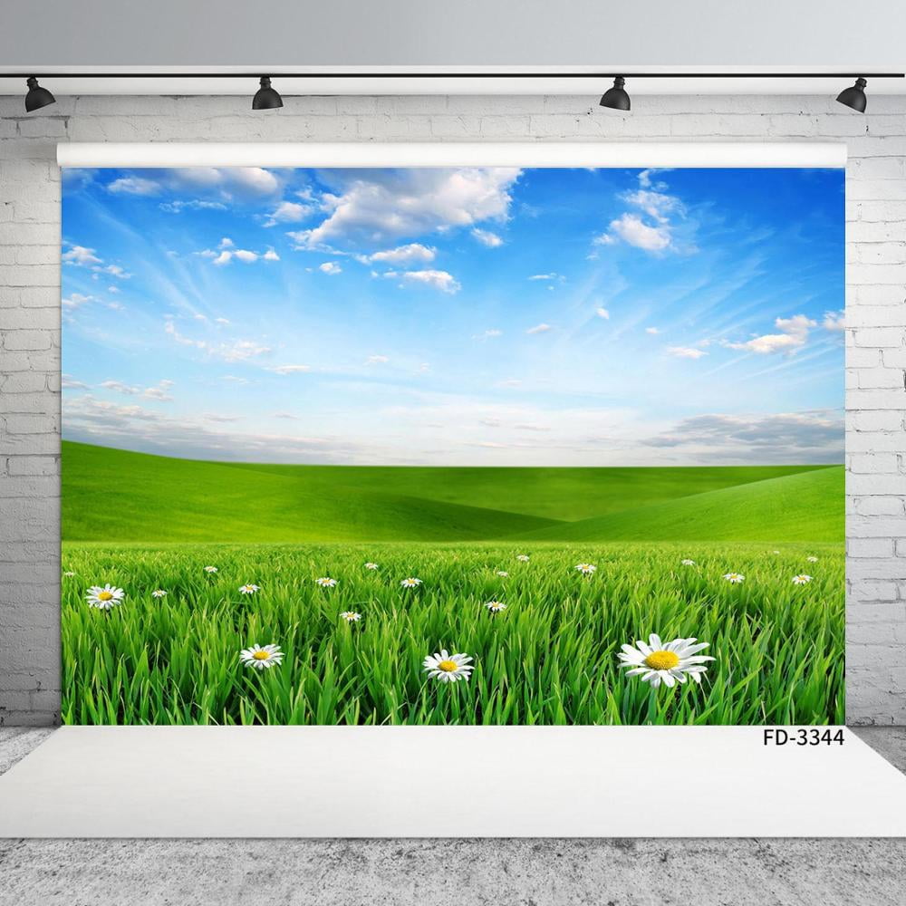 Green Grass Spring Grassland Flower Backdrops Baby Portrait Outdoor ...