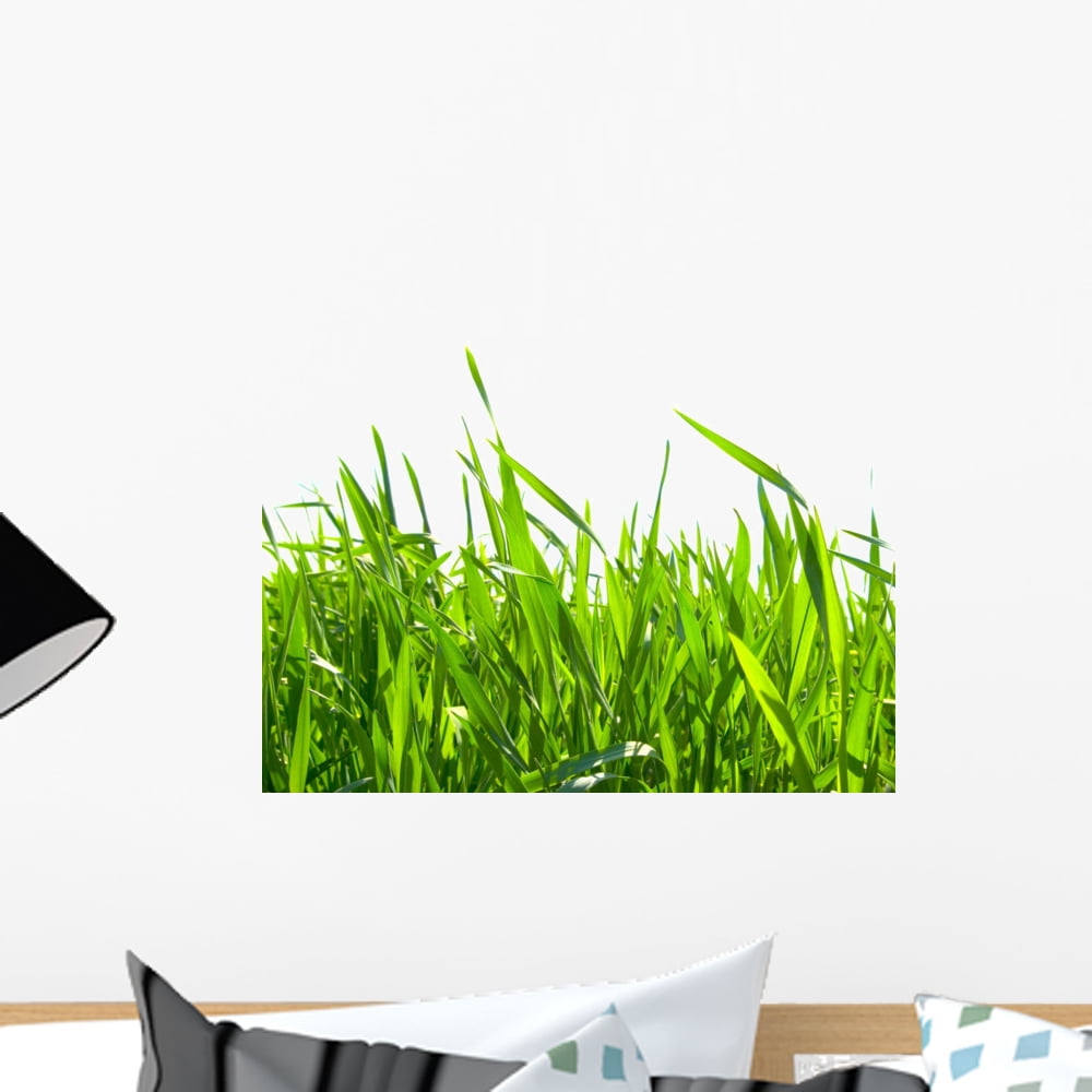 Green Grass Wall Mural Decal Sticker, Wallmonkeys Peel & Stick Vinyl ...