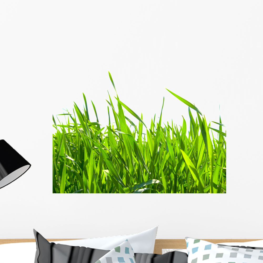 Green Grass Wall Mural Decal Sticker, Wallmonkeys Peel & Stick Vinyl ...