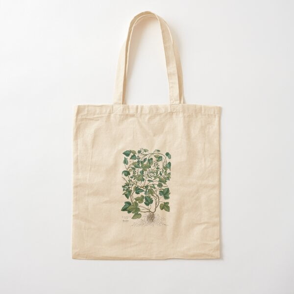 Green, Ivy, Black Ivy, Plant, Plants, Herbs, Medieval, Old, Renaissance ...