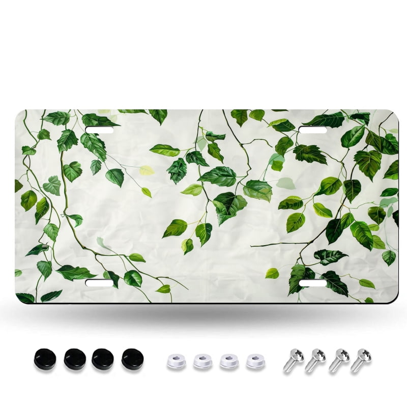 Green Ivy Leaves Cascading on White License Plate Frame, Decorative ...