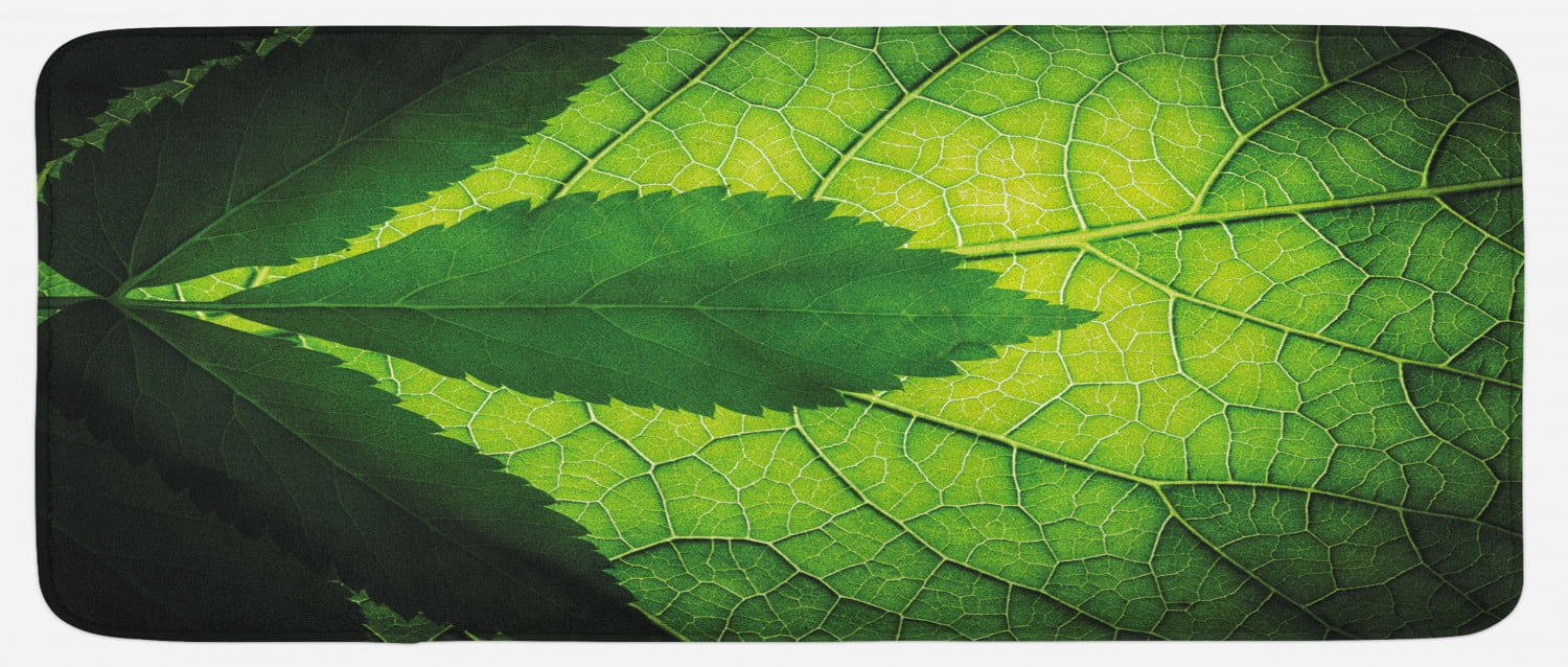 Green Kitchen Mat, Nature Forest Big Amazon Brazilian Tree Leaf with ...