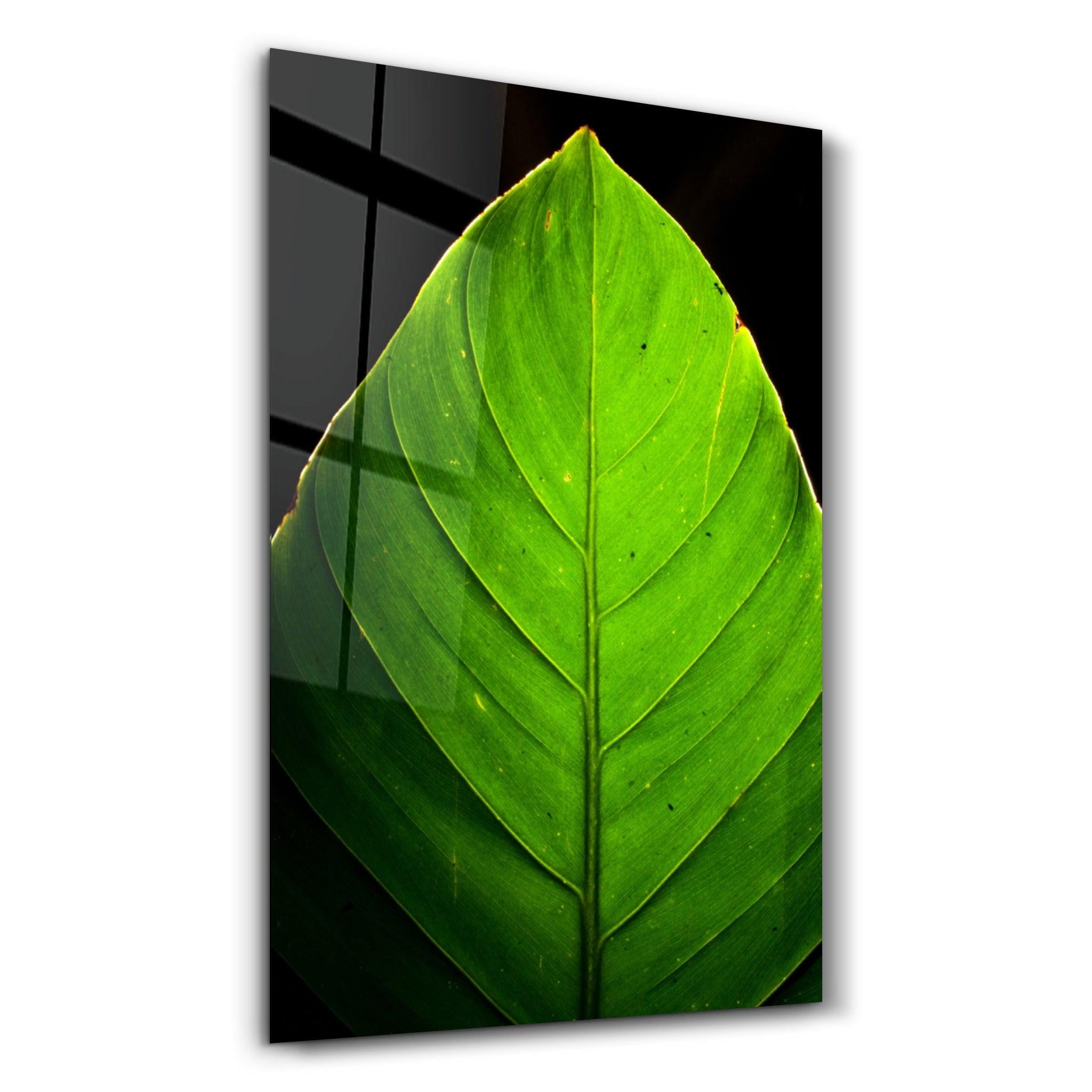 Green Leaf 1 | Glass Wall Art - Walmart.com