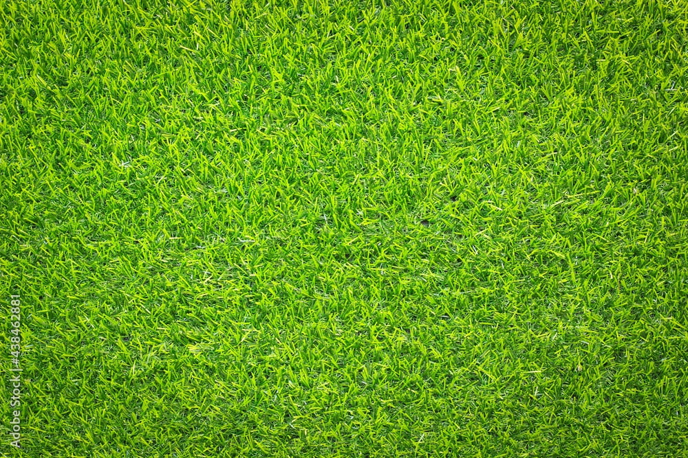 Green Leaves Backdrop Grass Natural Lawn Party Photography Backdrop ...