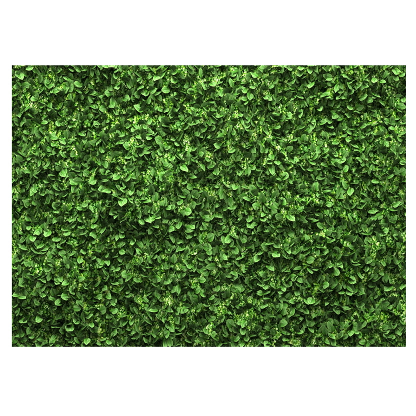 Green Leaves Backdrop Greenery Leaf Wall Background Jungle Theme Baby ...