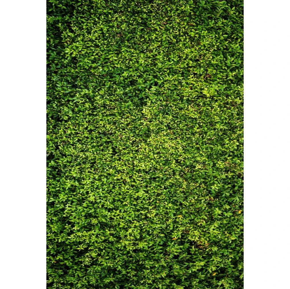 Green Leaves Wall Photography Backdrop Photo Background Wedding ...