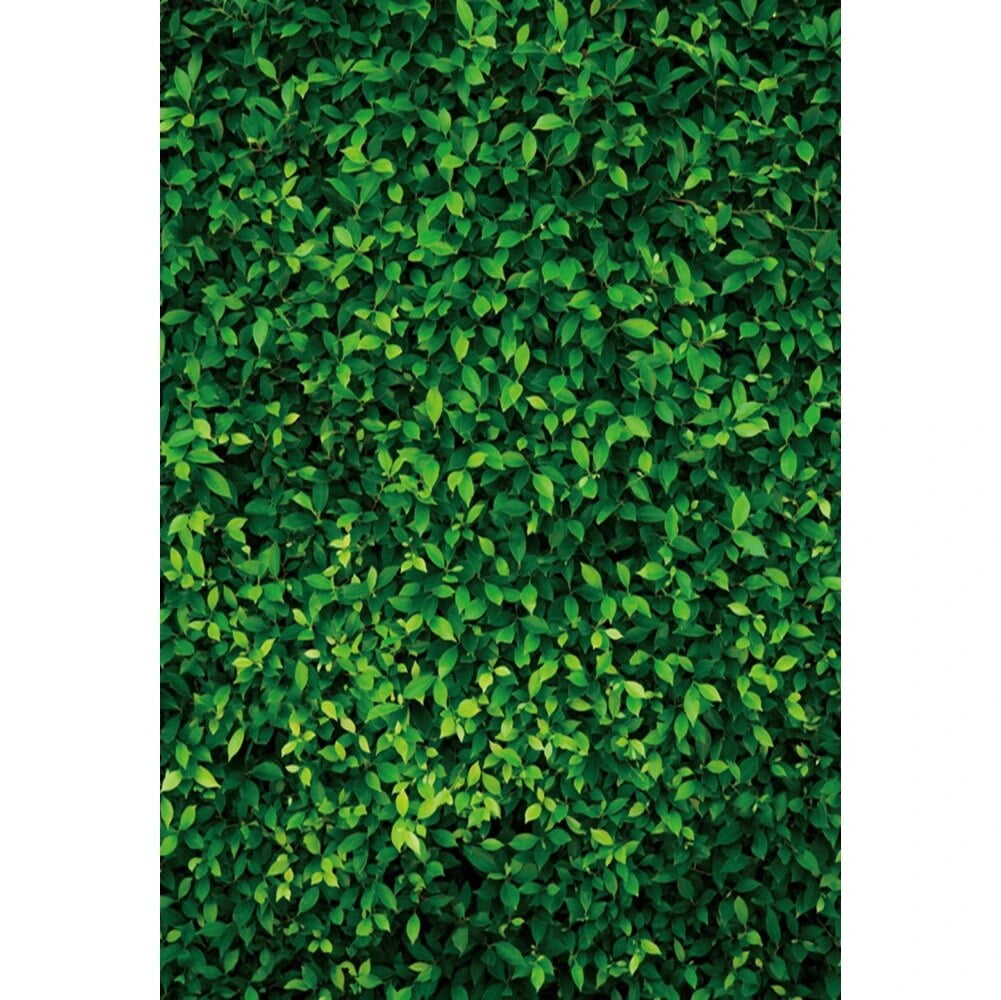 Green Leaves Wall Photography Backdrop Photo Background Wedding ...