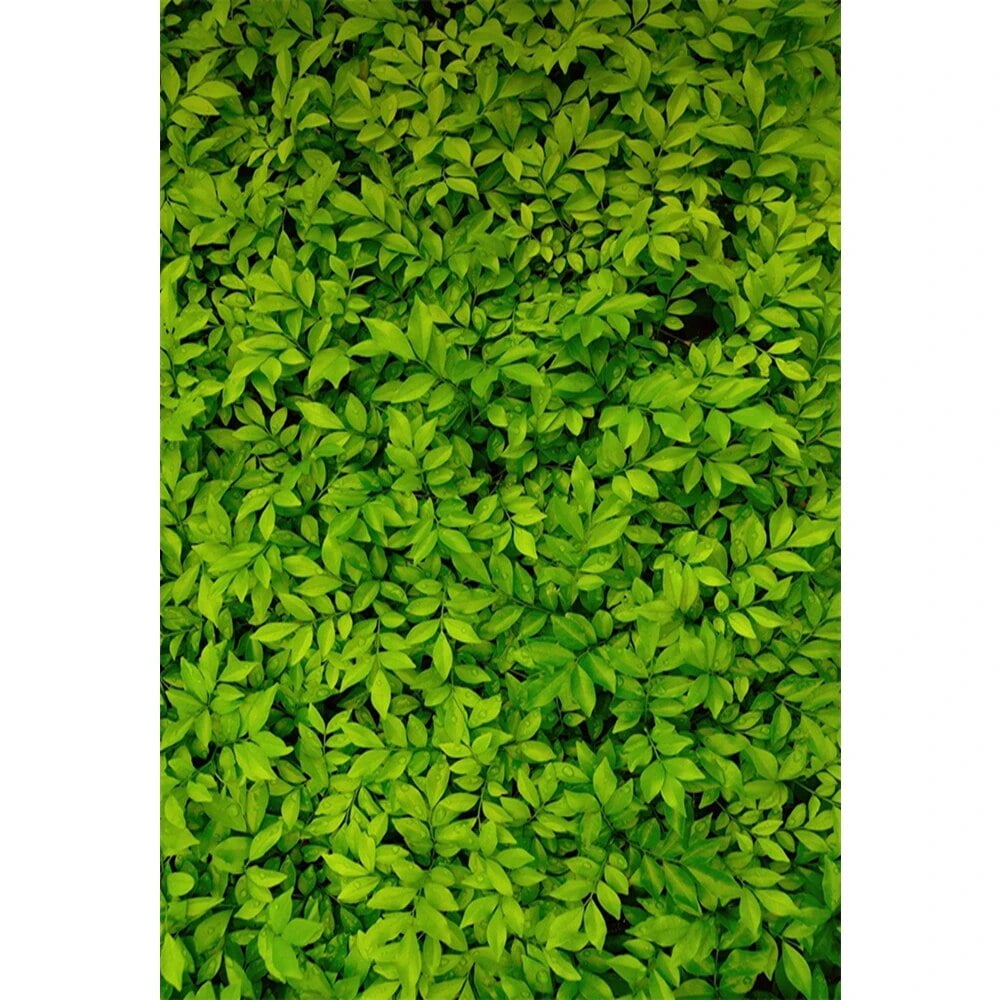 Green Leaves Wall Photography Backdrop Photo Background Wedding ...