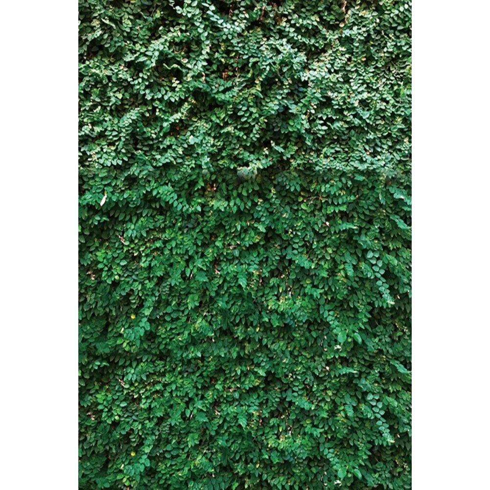 Green Leaves Wall Photography Backdrop Photo Background Wedding ...