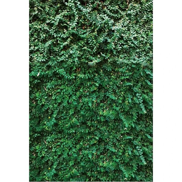 Diy Green Wall Backdrop